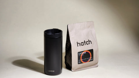 Buy Gamma - Premium Coffee Beans by Hatch Coffee | LAMOSE