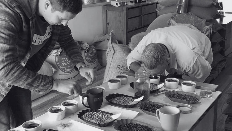 Rogue Roasters: Brewing Bold Flavors – LAMOSE