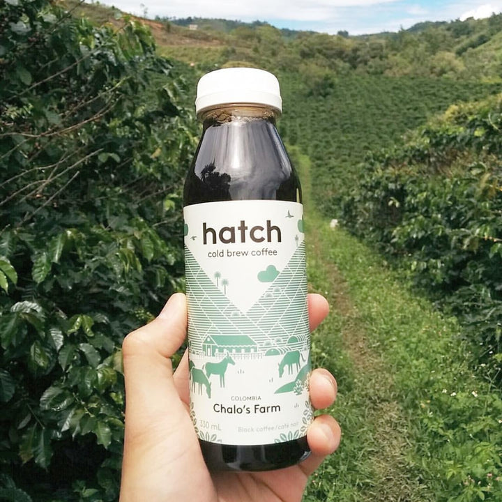 Hatch Coffee: A Journey from Africa to Markham – LAMOSE